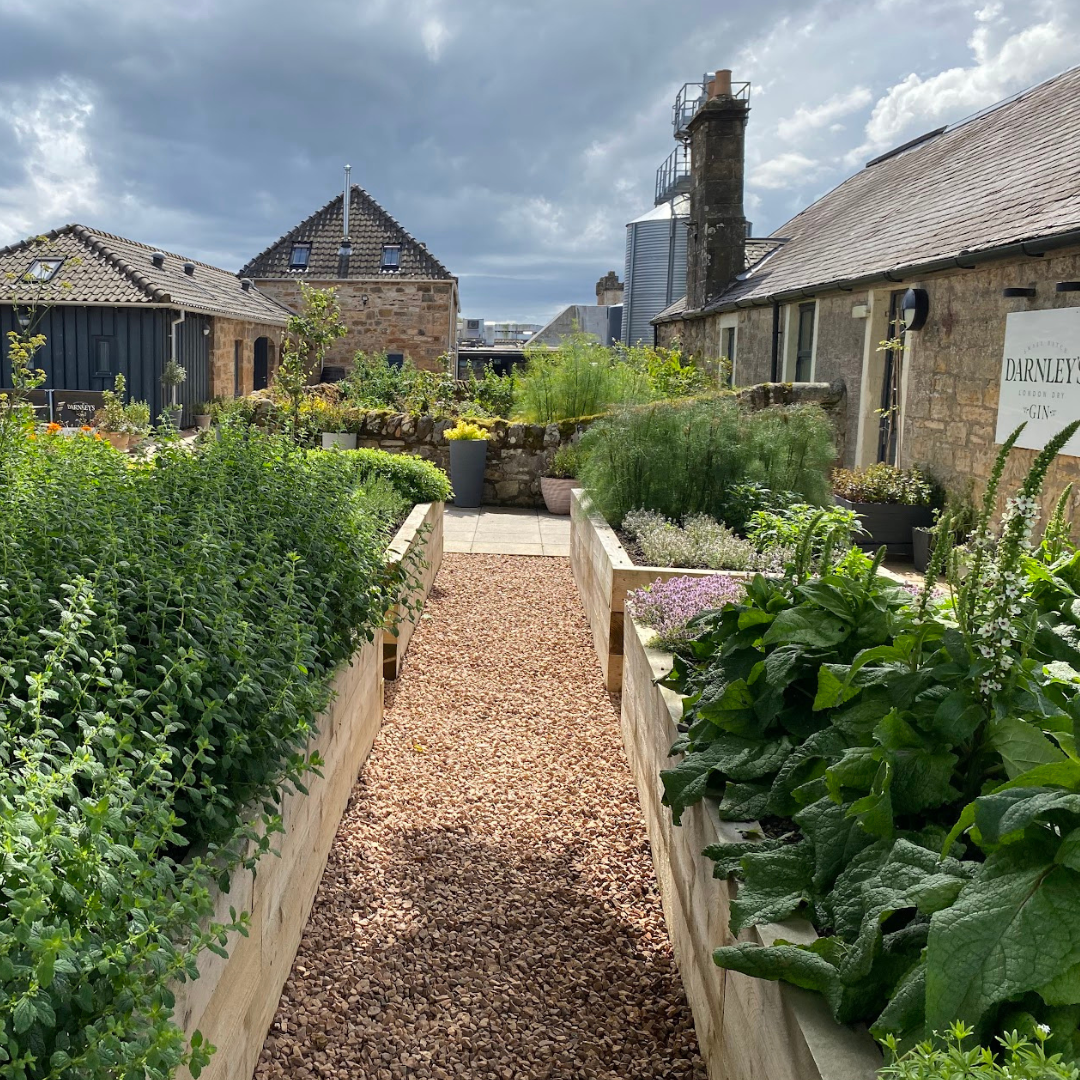 Darnley's Sustainability | Eco-Friendly Gin Distillery – Kingsbarns ...